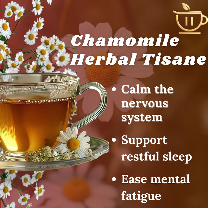 Wellness Journal – Sip n Pause